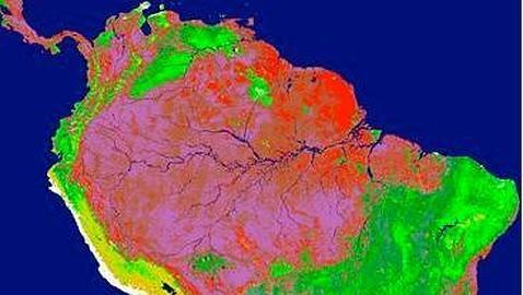 La sequía en el Amazonas, visible desde el espacio - ABC.es