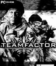 Team Factor