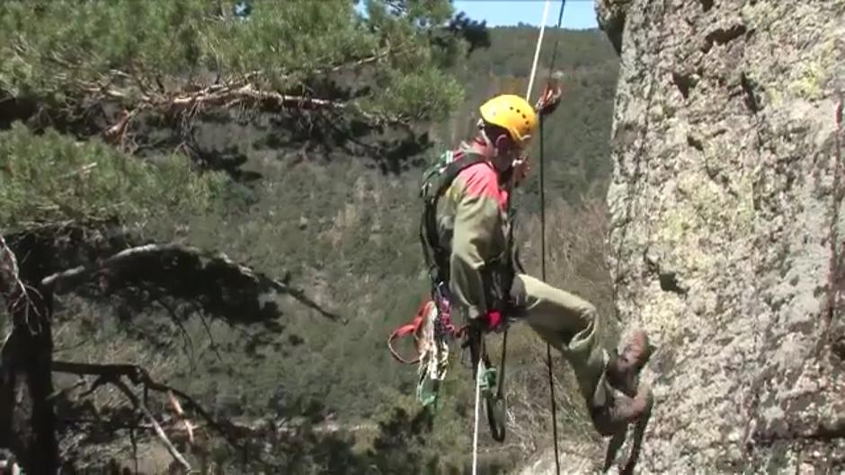 Así trabajan los Agentes Forestales de la Comunidad de Madrid