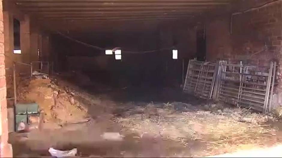 Una treintena de animales mueren calcinados en el incendio de Tarragona