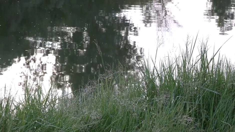 El Gobierno andaluz aprueba el Plan Andaluz por el Agua El Gobierno andaluz aprueba el Plan Andaluz por el Agua
