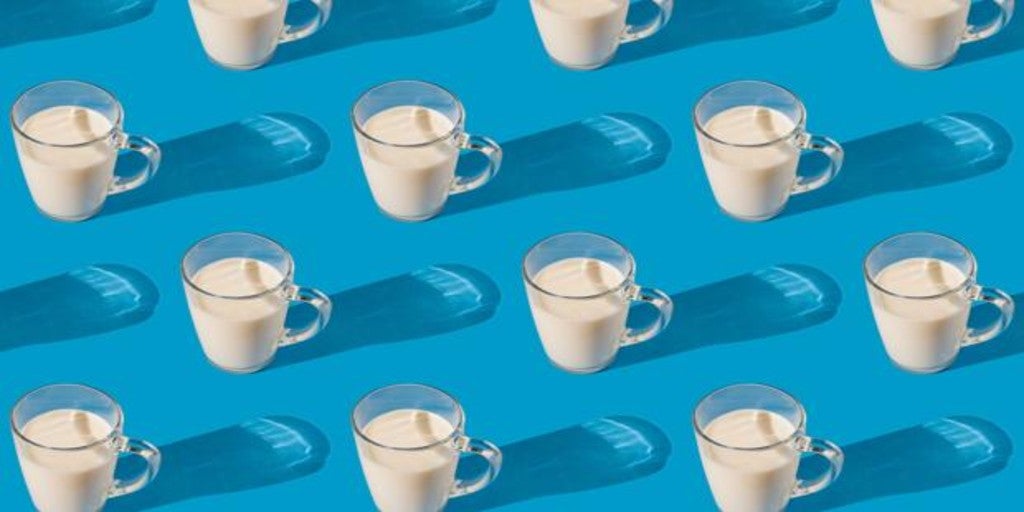 Qué es la caseína, para qué sirve y por qué es importante para los ...