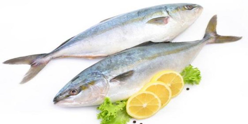 Pez limón: el pescado de moda entre los grandes chefs