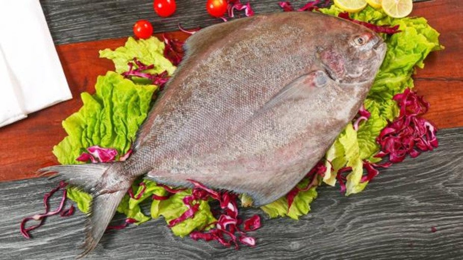 Fletán: el pescado perfecto en dietas hipocalóricas