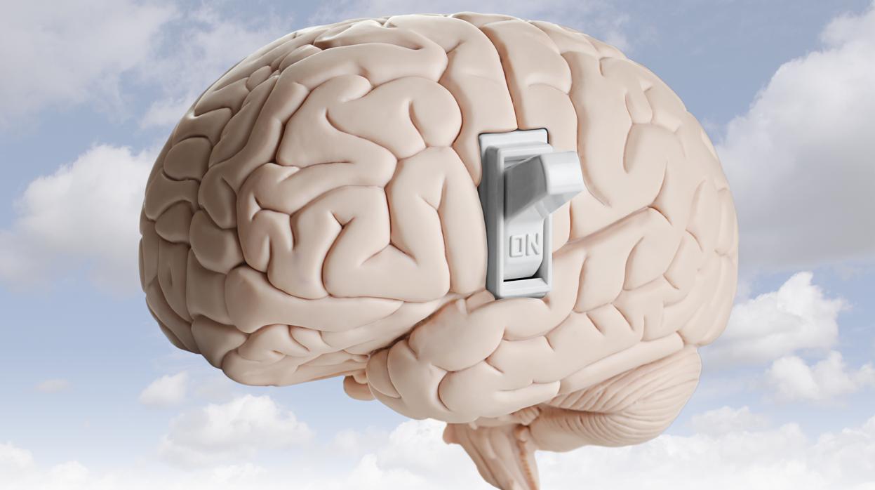 Descubren que la percepción del mundo no es continua