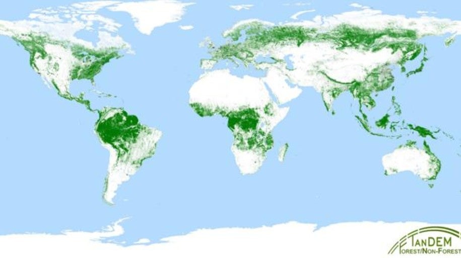 Crean un mapa de los bosques de toda la Tierra con una resolución de 50 ...