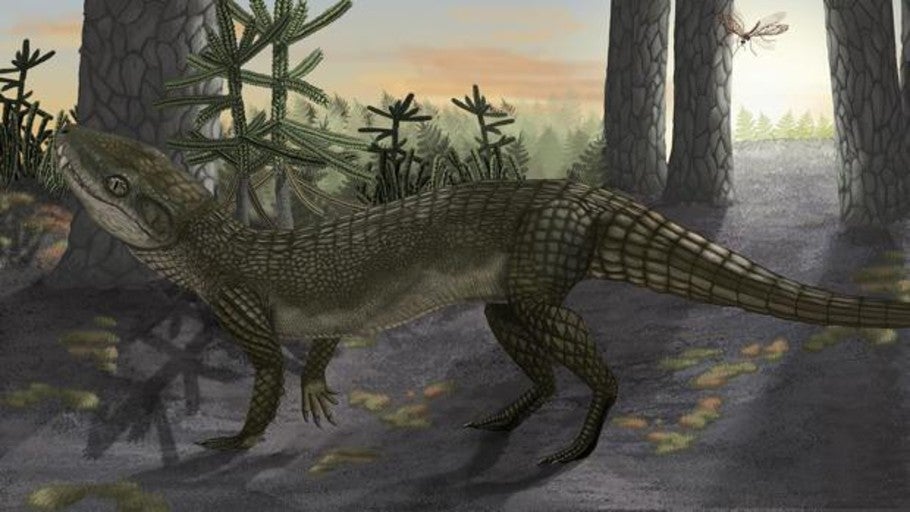 La extraña dieta de los primeros cocodrilos