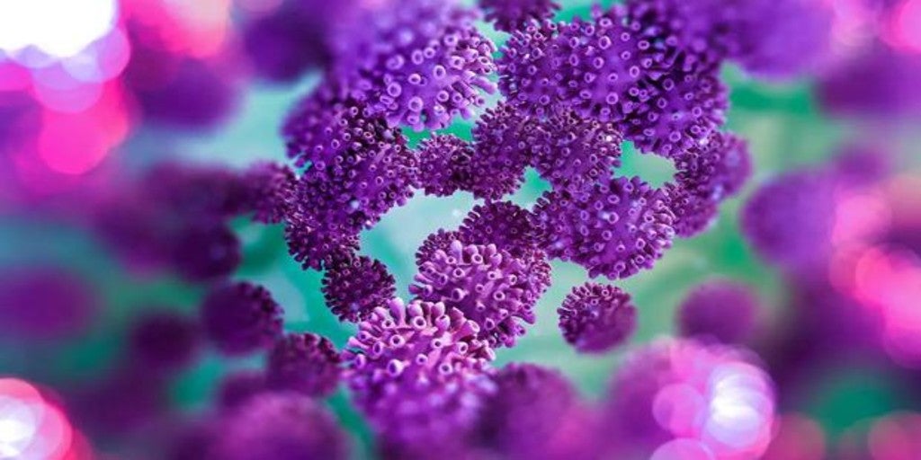 ¿Es la elevada mortalidad en Europa consecuencia de una mutación letal ...