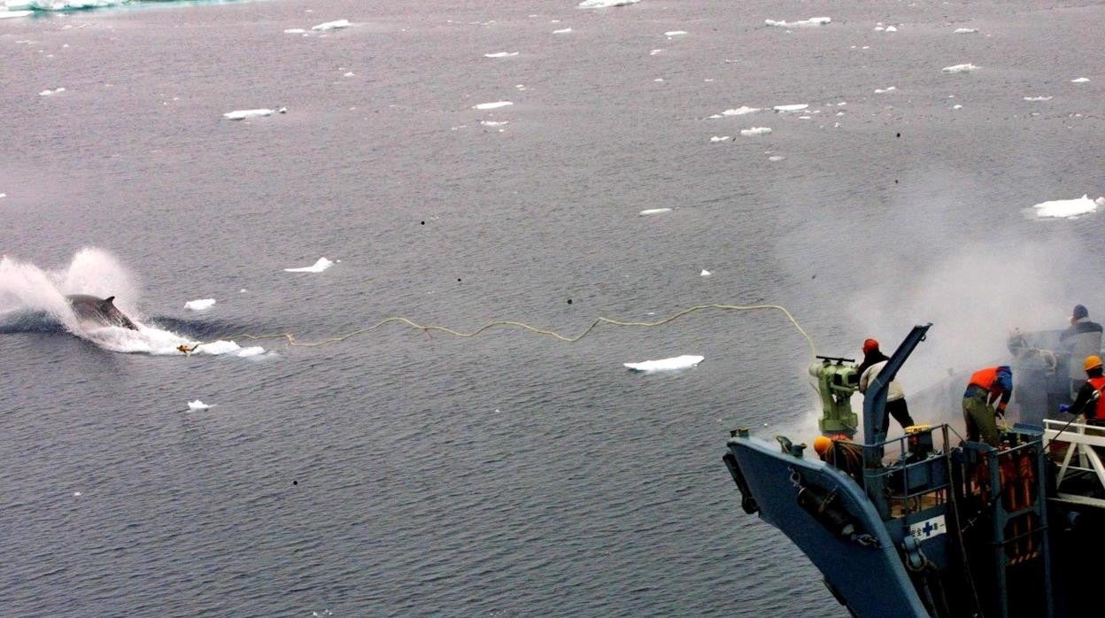 Dónde está el nuevo quinto océano de La Tierra