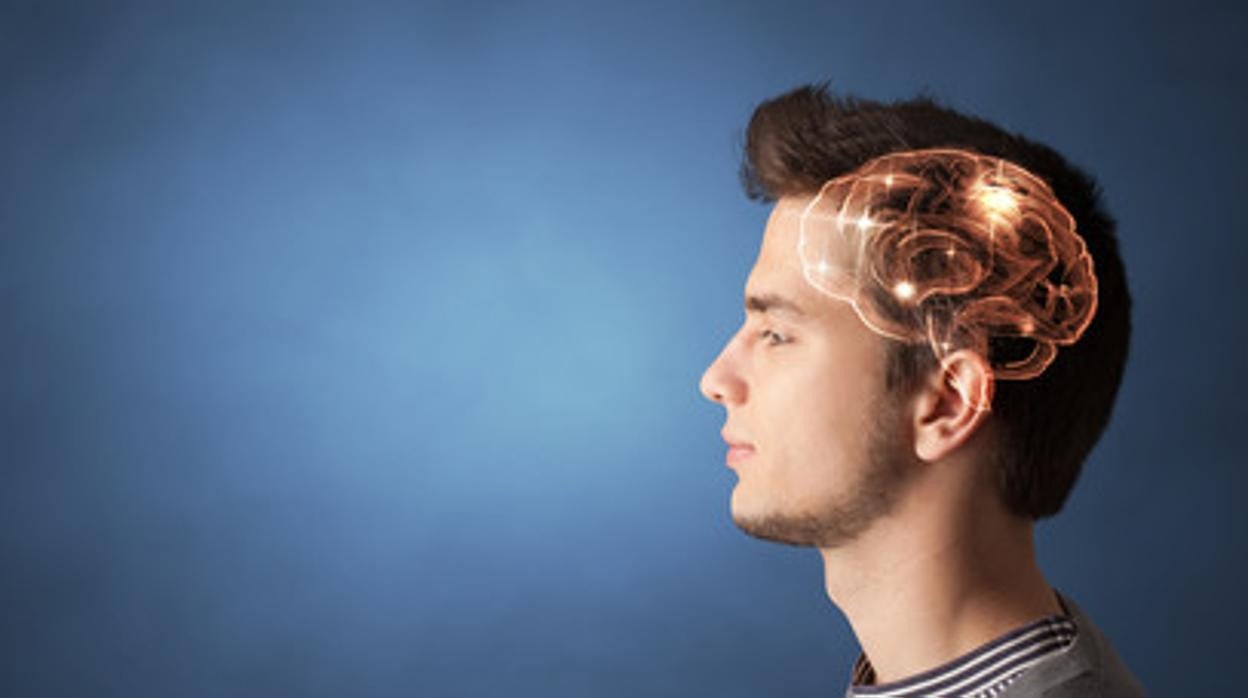 El cerebro humano encogió hace 3.000 años, ¿por qué?