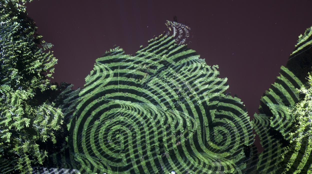 A la luz de Javier Riera y el CGAC