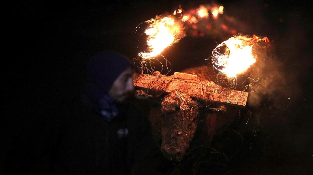 Historia del Toro Jubilo: de África a Medinaceli