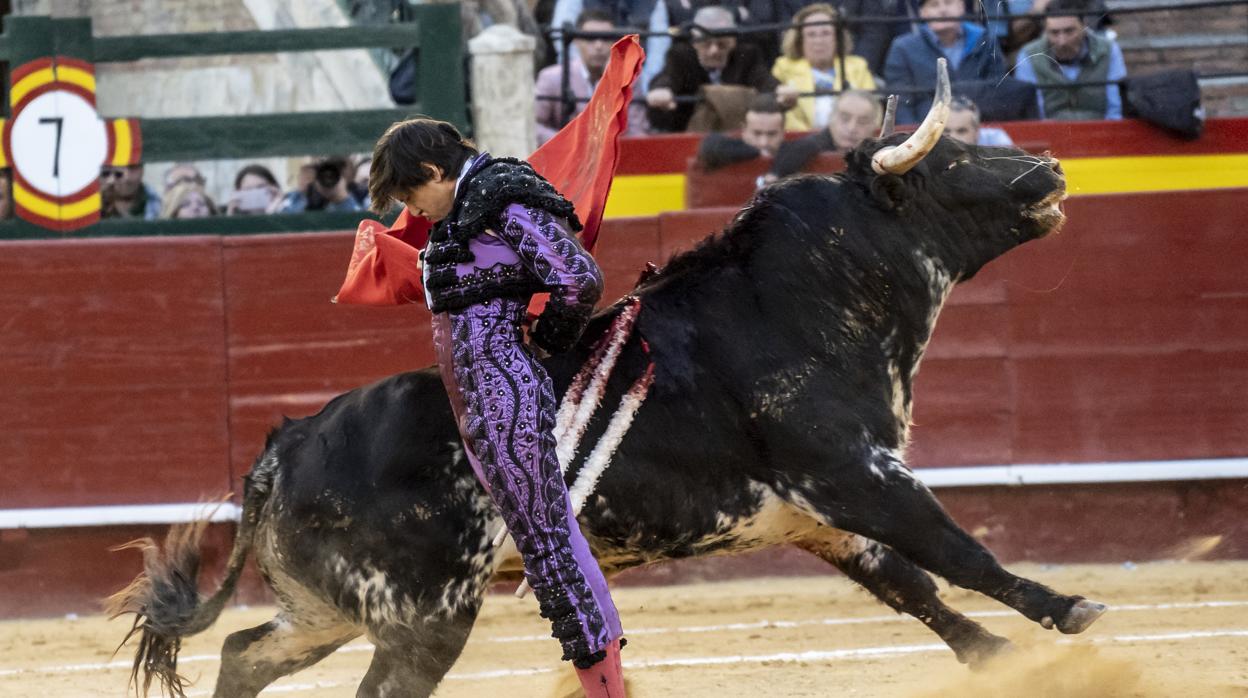 Roca Rey comenzará su temporada española en la Feria de Fallas