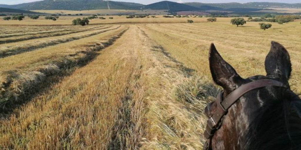 Lolo de Juan: Casualidad o verdad
