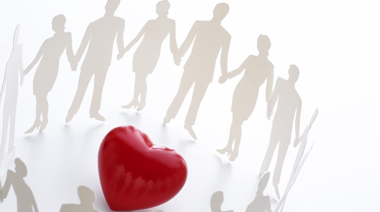 La solidaridad en equipo que hace más empresa