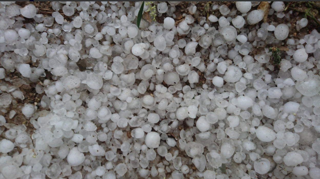 El granizo afecta a 4.000 hectáreas y causa 10 millones en pérdidas
