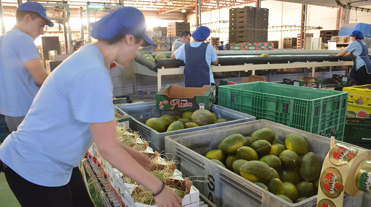 SOS: el campo envejece