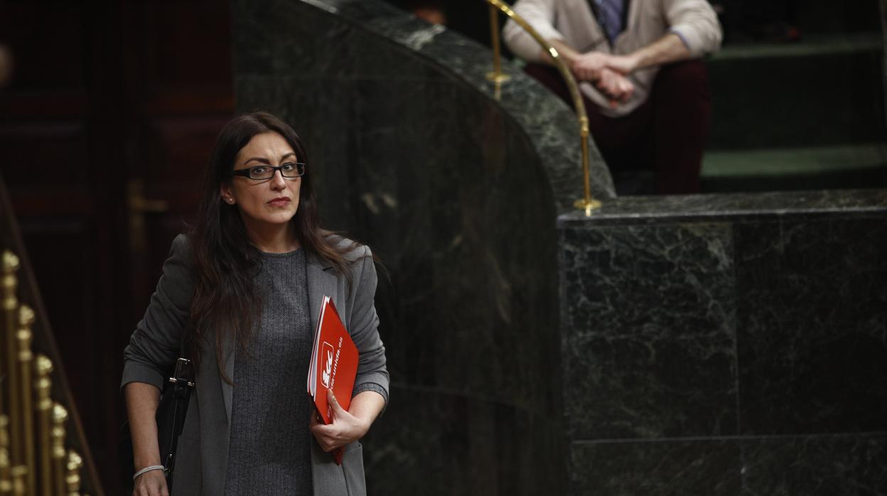 Sol Sánchez, el relevo de Errejón en el Congreso, promete la ...