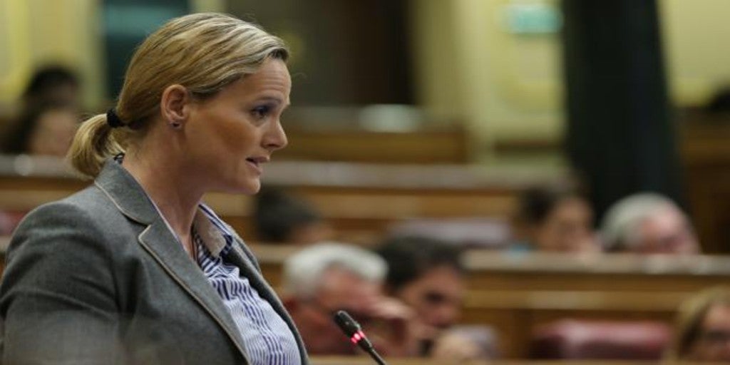 Zaida Cantera (PSOE): «Presupuestos plurianuales en defensa darían ...