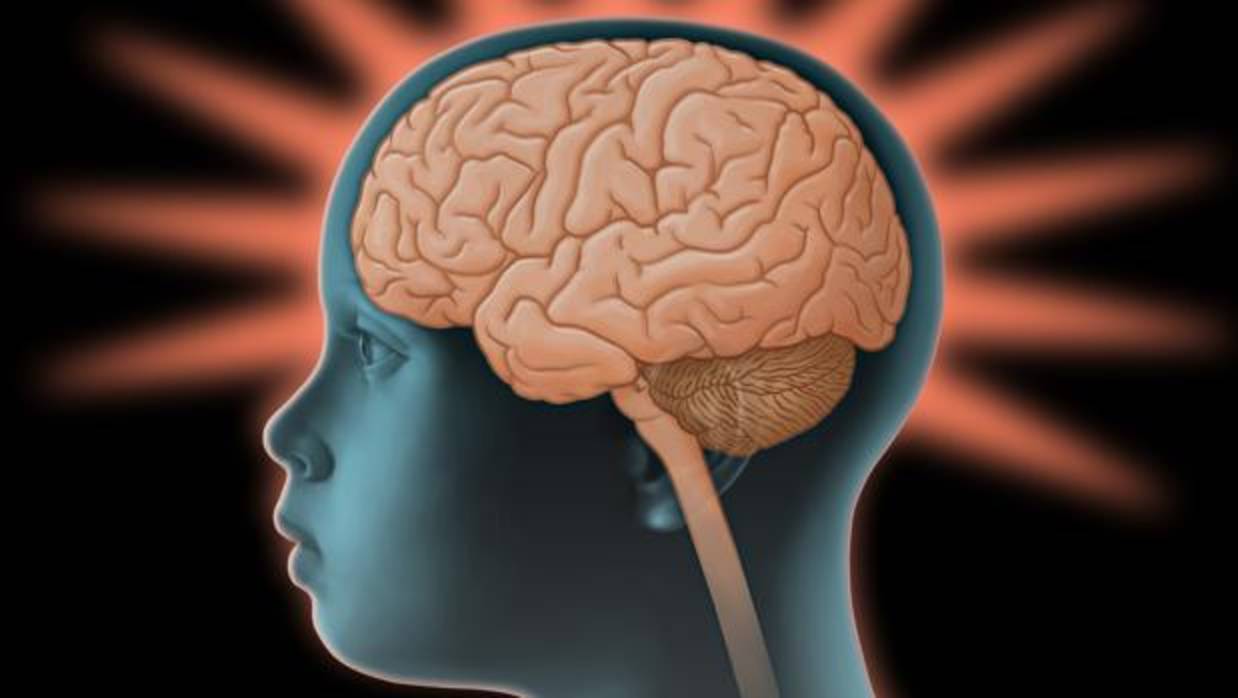 ¿Cómo cuidar la salud cerebral de los más pequeños?