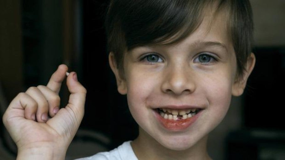 Si tienes de 5 a 99 años, el Ratón Pérez necesita tus dientes