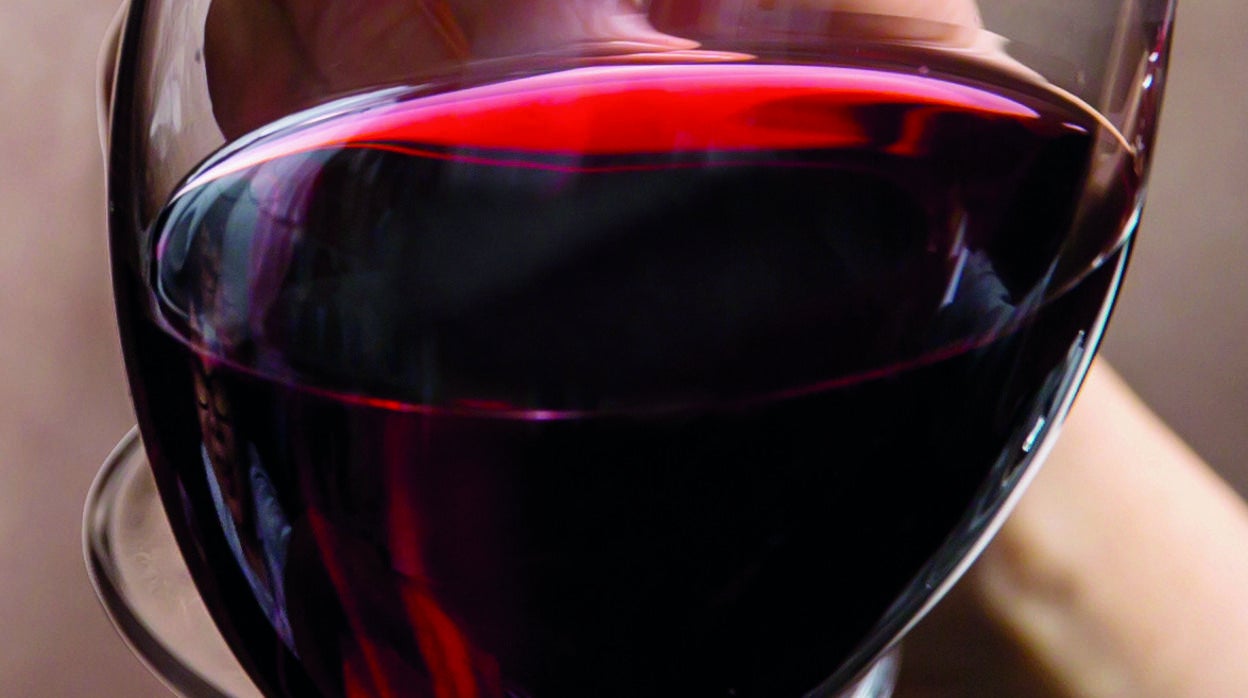 Treinta tintos espectaculares de Ribera del Duero