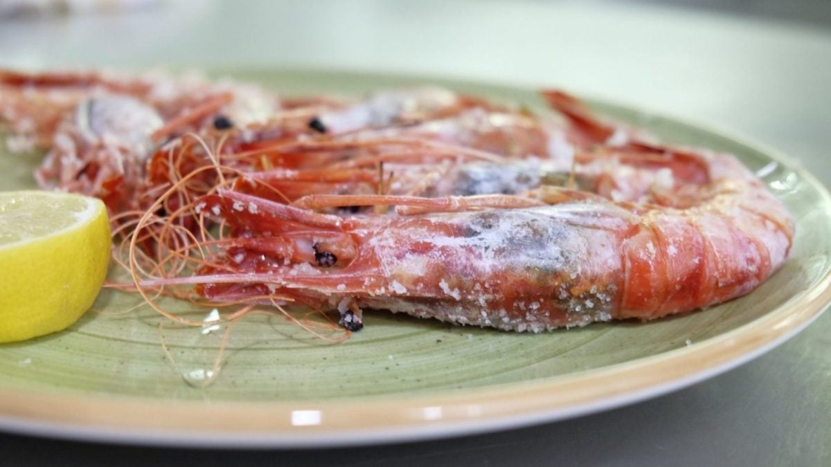 12 marisquerías imprescindibles en la Costa del Sol