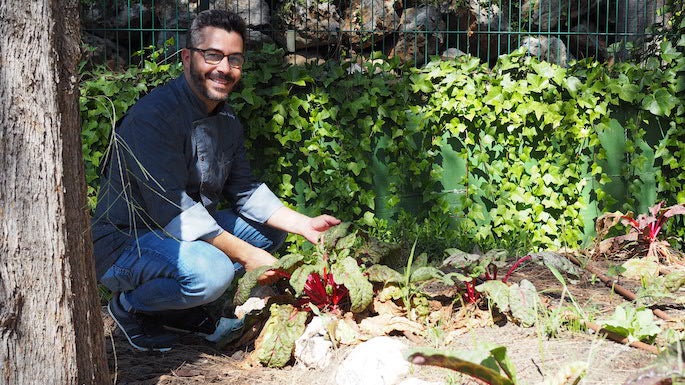 Fernando Sánchez, chef ejecutivo Buchinger Marbella: "En la mayoría de ...
