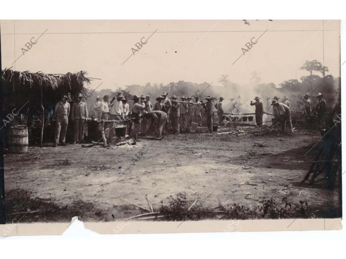 Trabajos de la trocha de Júcaro a Morón - Archivo ABC