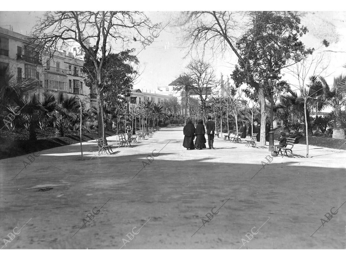 Alameda de Apodaca. Cádiz - Archivo ABC