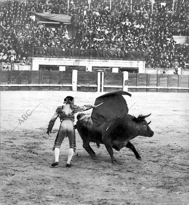 Gaona Pasando de muleta al cuarto Toro en la corrida de ayer en Madrid ...