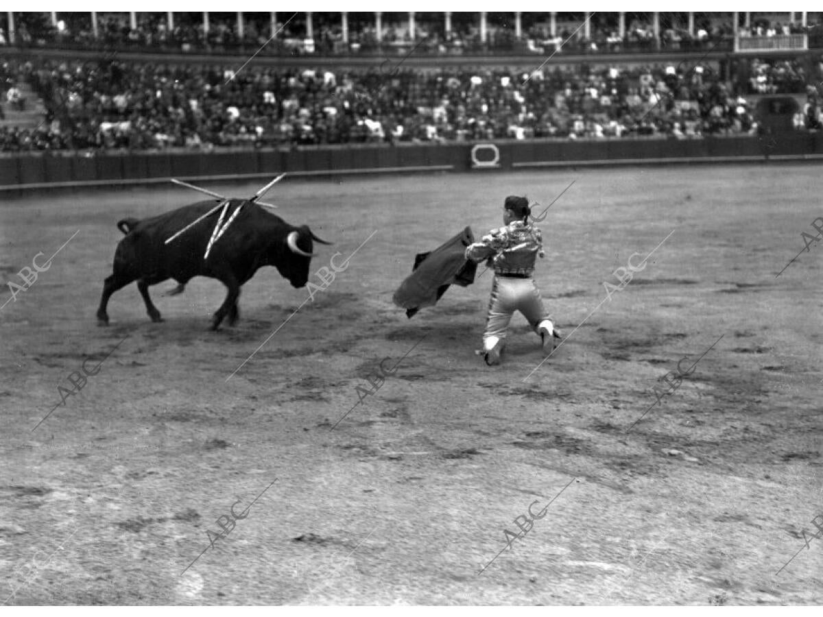 Vázquez Ii Pasando de Muleta, de Rodillas, A su primer Toro - Archivo ABC