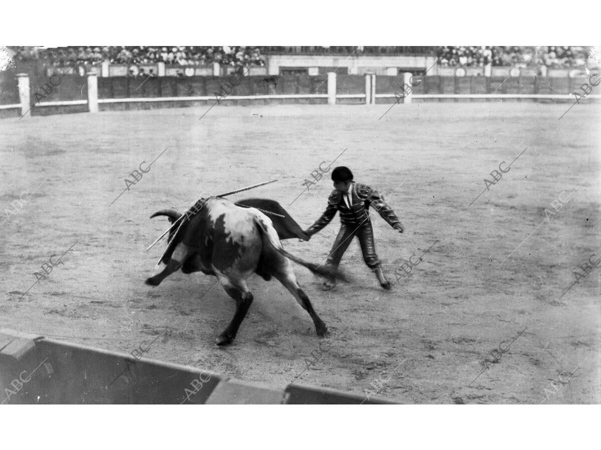 José Gárate (Limeño), Toreando de muleta - Archivo ABC