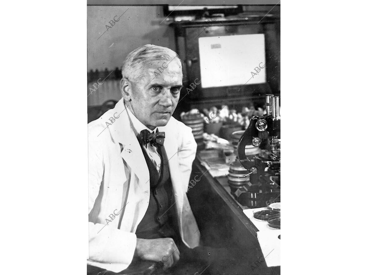 El doctor Fleming con sus Utensilios de investigación - Archivo ABC