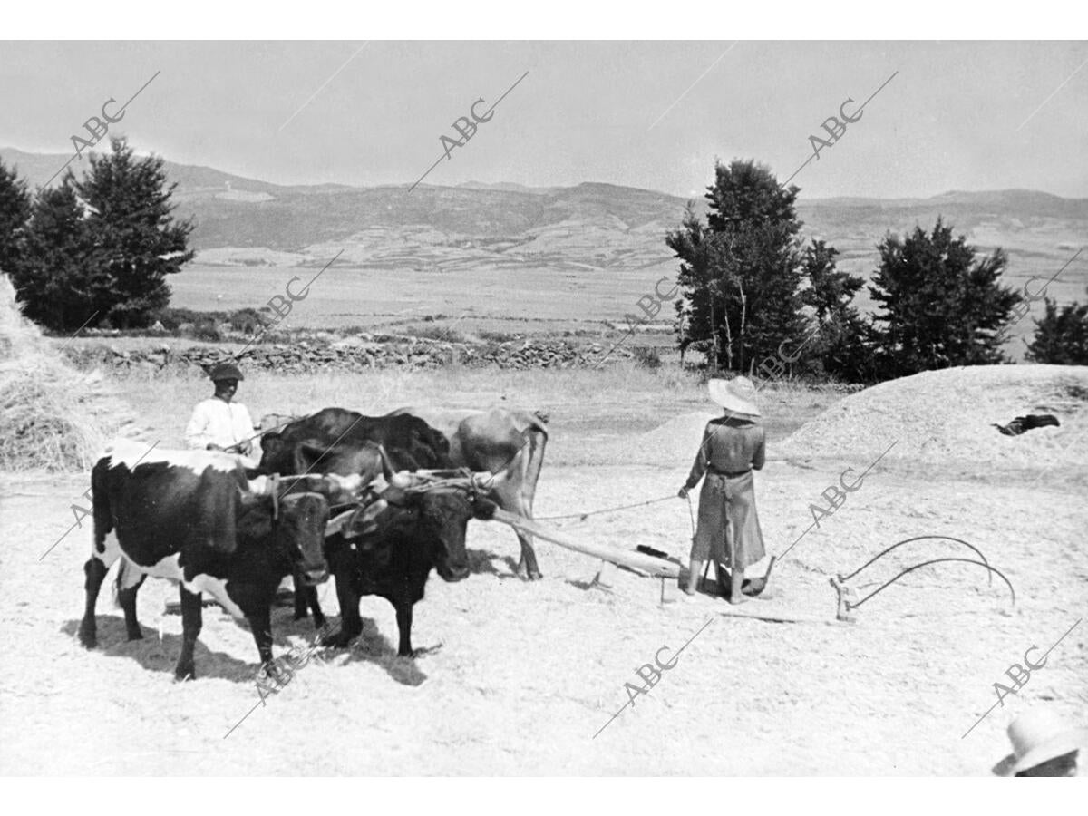 La trilla Es el síntoma de la normalidad en los Pueblos Castellanos que ...