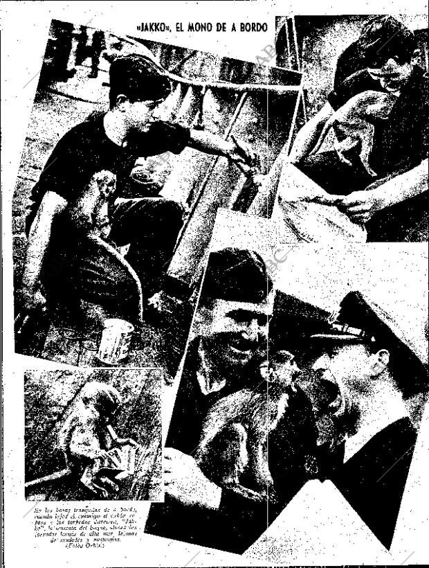 Periódico ABC SEVILLA 18-08-1942,portada - Archivo ABC