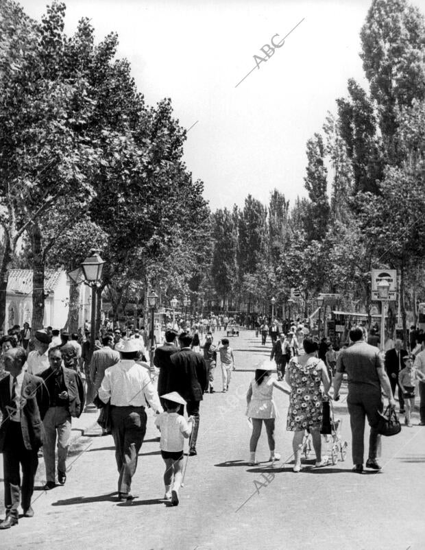 Fotografías de 1970 - Archivo ABC