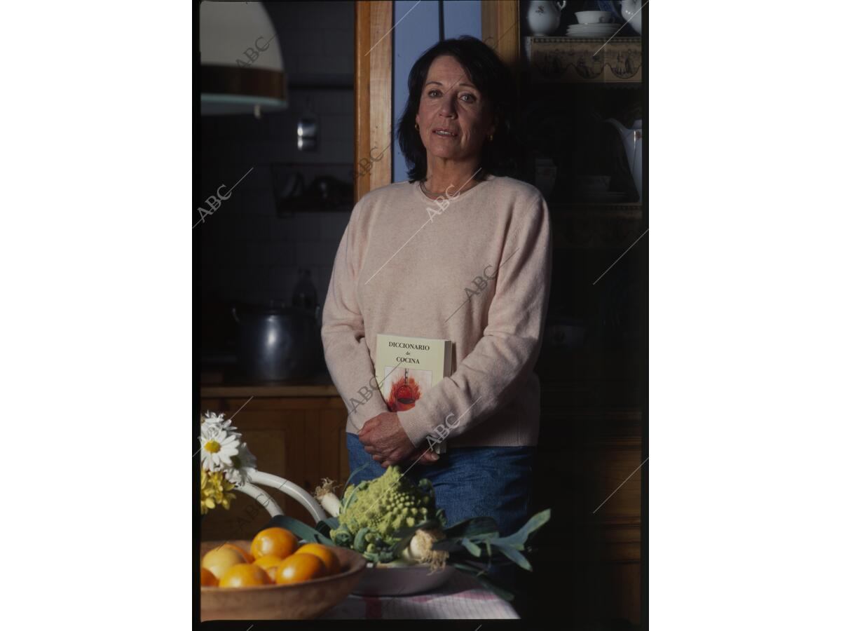 Elena Santonja posa en la cocina de su casa con su libro «Diccionario ...