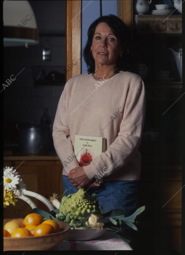 Elena Santonja posa en la cocina de su casa con su libro «Diccionario ...
