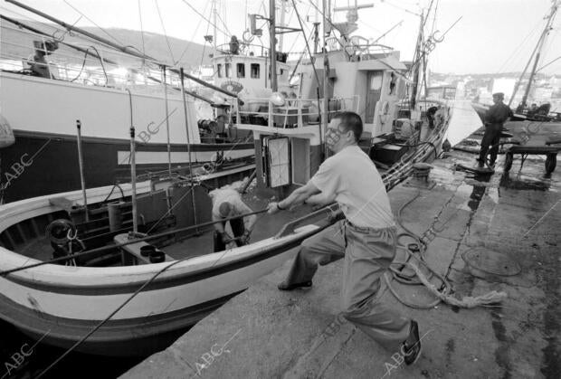 Barco bonitero atracando en el muelle de descarga - Archivo ABC