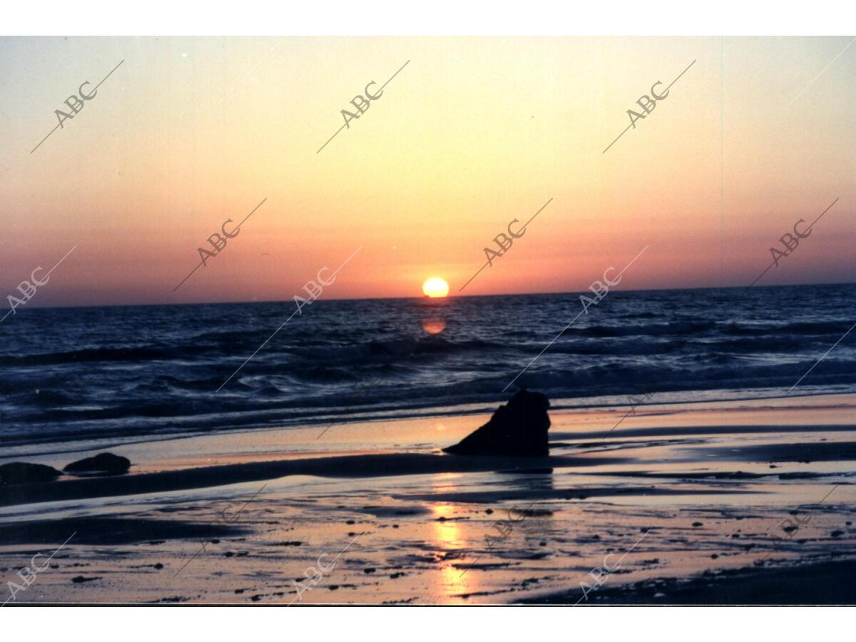 Playas de Roche (Conil de la Frontera), julio 2001 - Archivo ABC
