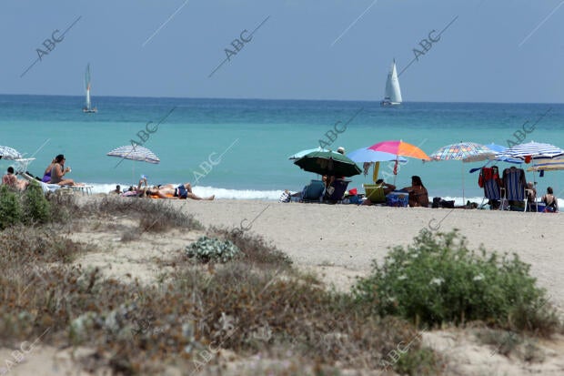 Rober Solsona....20140728....Valencia....Playa de Almarda, en Sagunto ...