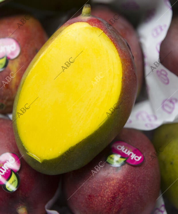 Zona de frutas y verduras, en el centro de mercancías perecederas ...