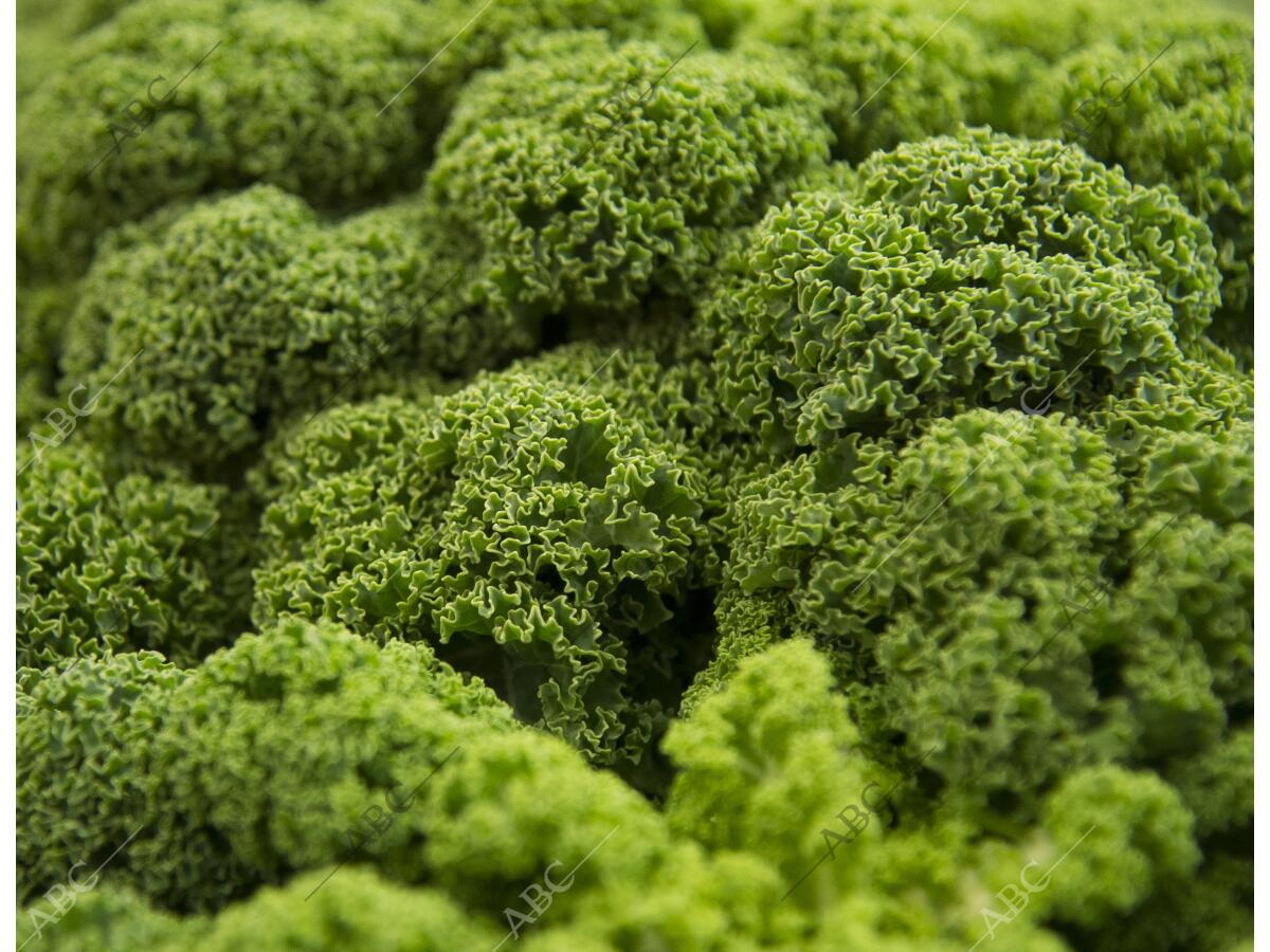 Zona de frutas y verduras, en el centro de mercancías perecederas ...