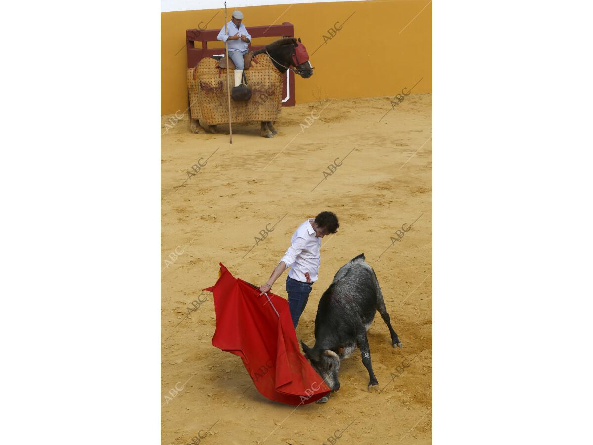 Reportaje al torero Juan Serrano «Finito de Córdoba», en un tentadero ...