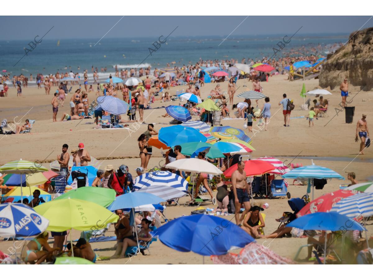 Playa de la ballena en costa Ballena - Archivo ABC