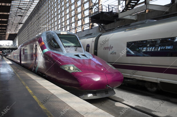 Avlo, nueva línea de trenes rápidos y de bajo coste lanzada por Renfe ...
