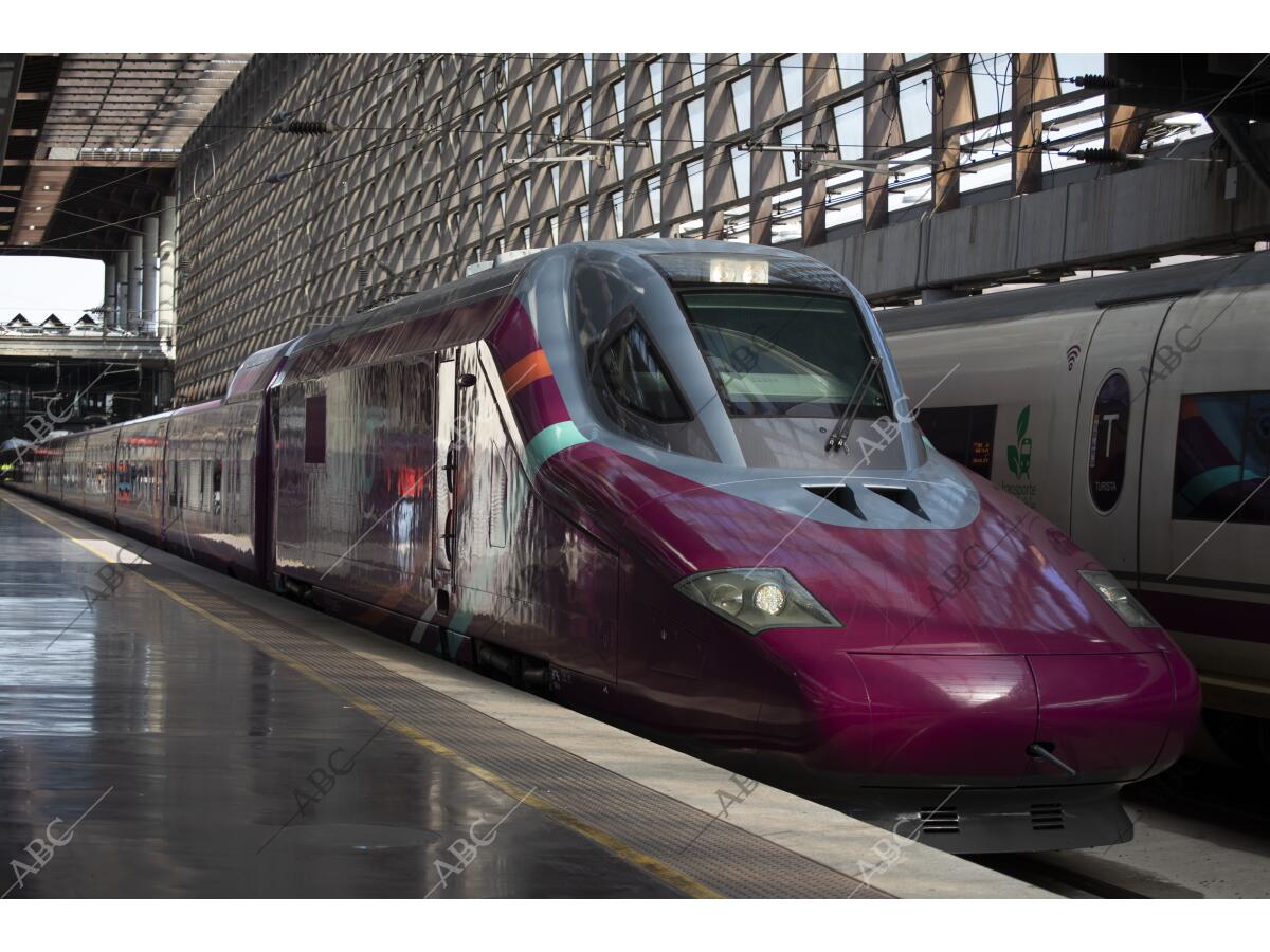 Avlo, nueva línea de trenes rápidos y de bajo coste lanzada por Renfe ...