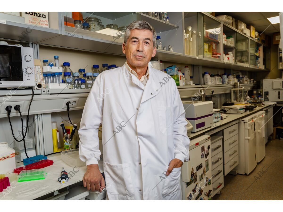 Antonio Alcamí, virólogo del Centro de Biología Molecular Severo Ochoa ...