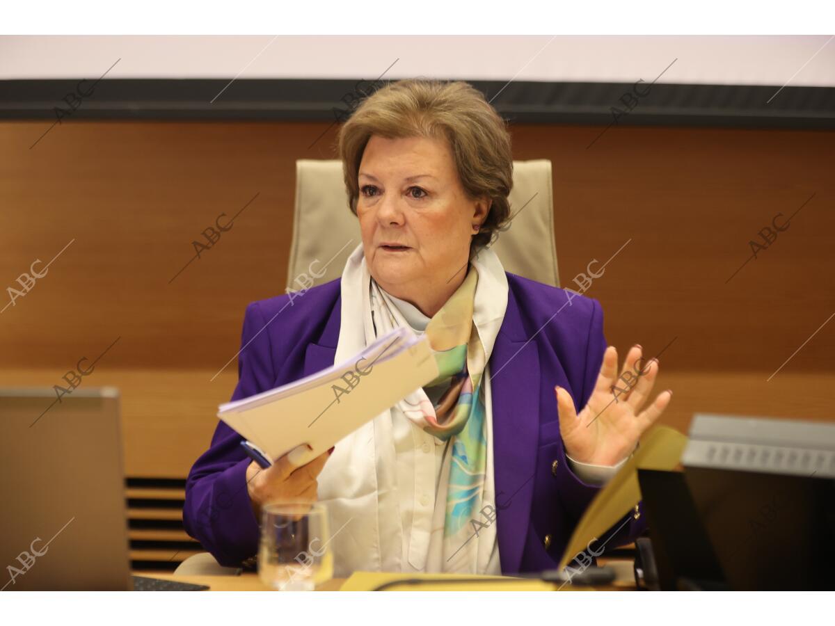 Comparecencia de la presidenta del Tribunal de Cuentas, Enriqueta ...